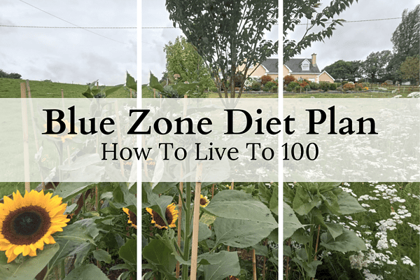 The Blue Zone Diet Plan - What To Eat To Live To 100 — Maria Lucey ...